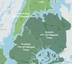 NYC Street Tree Map