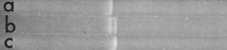 Chapter 19: Berg, Cohen and Boyer Invent Recombinant DNA and Gene Cloning