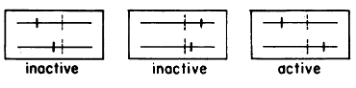 Active Inactive RLL