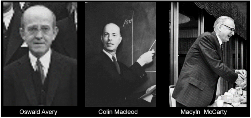 Avery Macleod McCarty Portraits