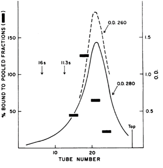 Gilbert Muller Repressor Isolation Graph