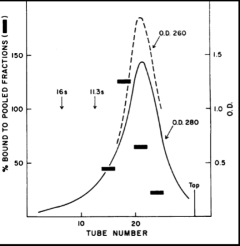 Gilbert Muller Repressor Isolation Graph