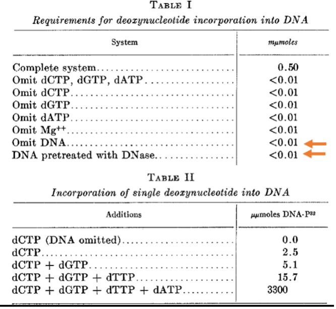 Kornberg Synthesis Table