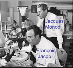 Monod Jacob Portrait
