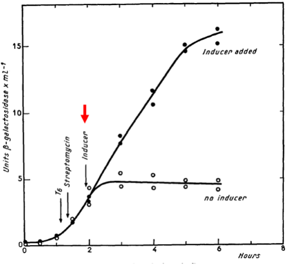 PaJoMo ZI Mutation Graph