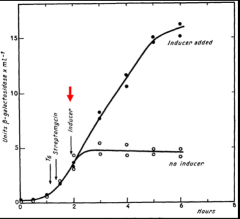 PaJoMo ZI Mutation Graph