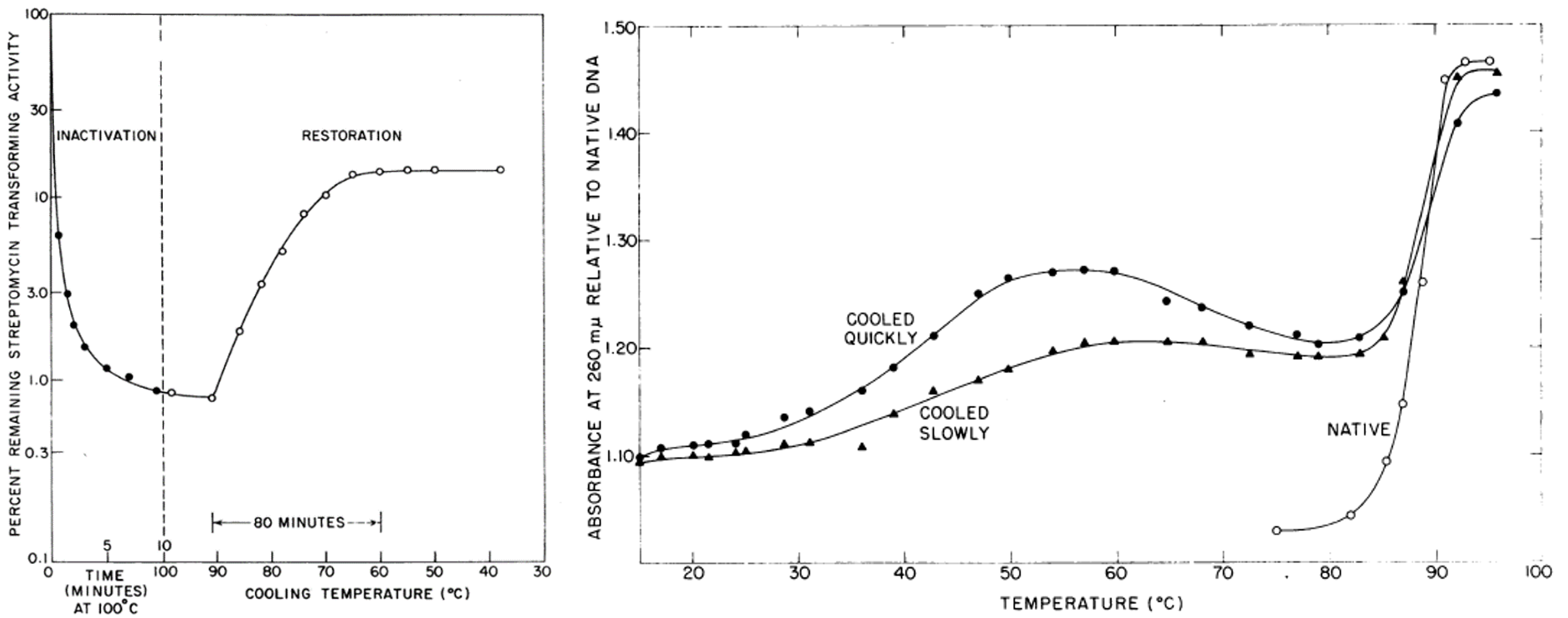 Doty Experiment Graphs